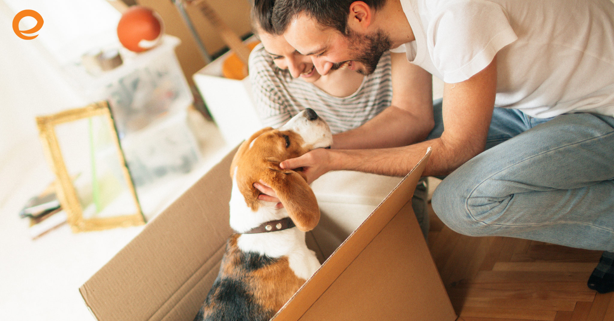 7 Tips for Moving with Pets - Embrace Home Loans